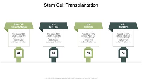 Stem Cell Transplantation In Powerpoint And Google Slides Cpb PPT PowerPoint