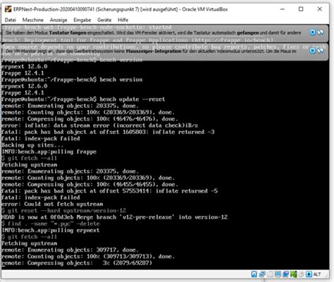 Cannot Update Erpnext Install Update Frappe Forum