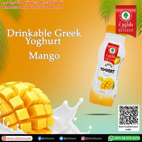 Lebanese Dairy Co Chtoora Llc Home