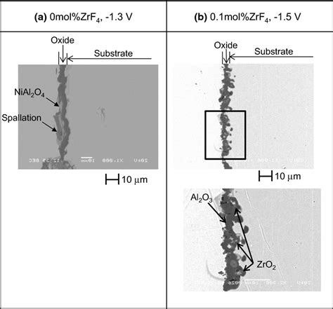 Cross Sectional Micrographs Of Ni Specimens With Layers Formed At A