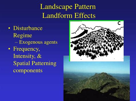 Ppt Landscape Pattern Powerpoint Presentation Free Download Id3289984