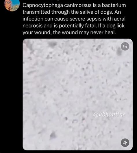 New Fear Unlocked Rterrifyingasfuck