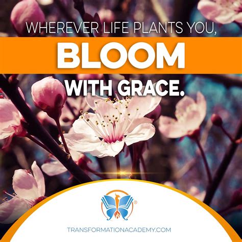 Transformation Academy On Linkedin Transformationacademy