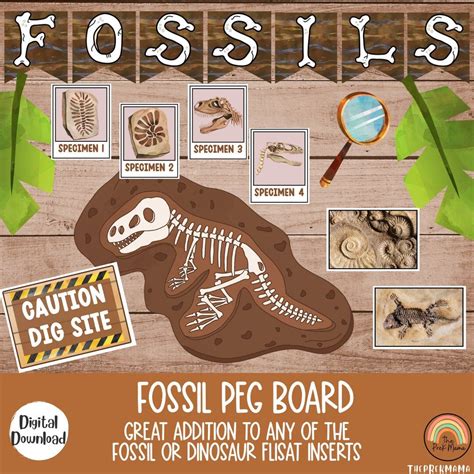 Fossils Peg Board Fossils Posters Fossils Preschool Fossils Flisat