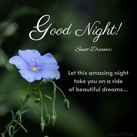 Beautiful Good Night Quotes
