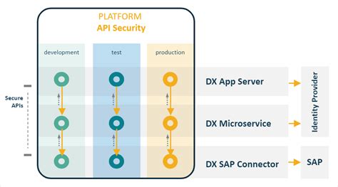 API Security Neptune DXP Documentation
