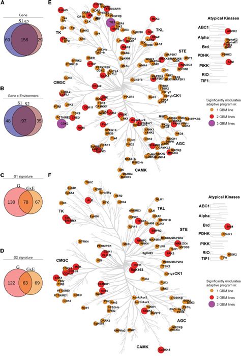 Multiplex Single Cell Chemical Genomics Reveals The Kinase Dependence Of The Response To