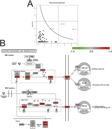 A Signaling Pathway Impact Analysis Spia Evidence Plot Blue Curve