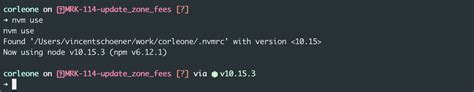 Node Version Is Not Show Using Node Version File From A Project