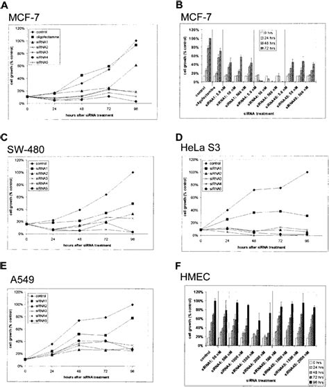 Effect Of Small Interfering Rna Sirna Transfection On Proliferation