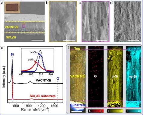 Fabrication Of Infiltrated Vacnt Si Composite Structures Via Thermal Download Scientific