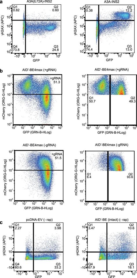 Gating Strategies For Flow Cytometry Plots For All Samples Viable Download Scientific Diagram