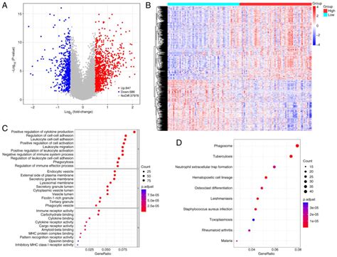 Identification And Validation Of A Novel Prognostic Model Based On Anoikis‑related Genes In