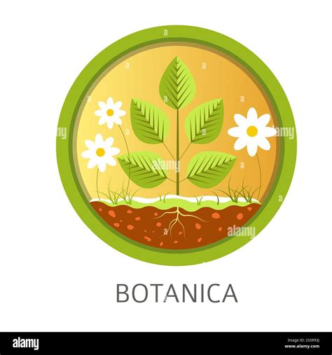 Botanica School Discipline Informational Lessons About Nature And