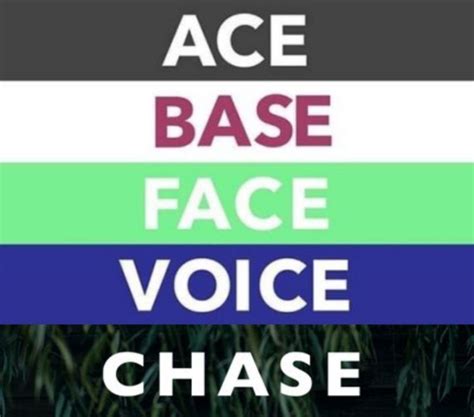 더쿠 드디어 완성된 샤이니 멤버들의 솔로 앨범 유기성 