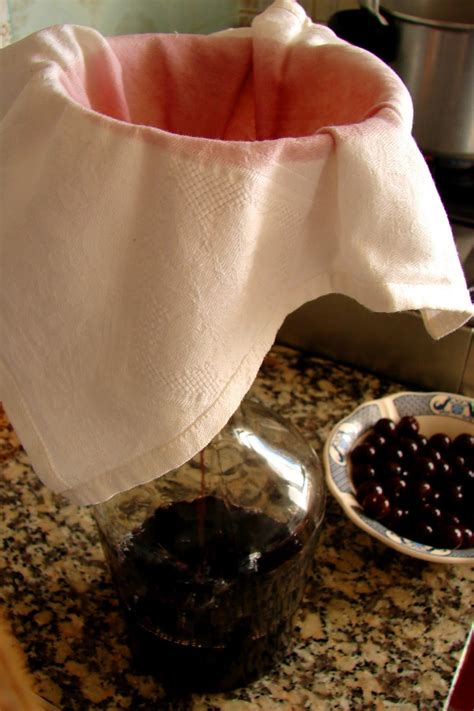 Os Petiscos Da Gracinha Licor De Ginja