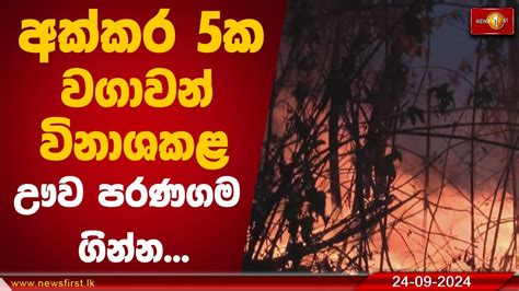 අක්කර 5ක වගාවන් විනාශකළ ඌව පරණගම ගින්න Youtube