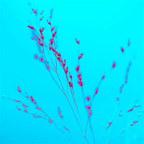 Stream Brad Vivian Listen To Progressions Playlist Online For Free On
