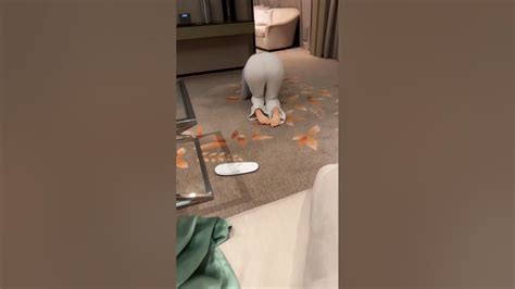 美女在地上蠕动beautiful Women Squirming On The Floor Beautiful Douyin Asia