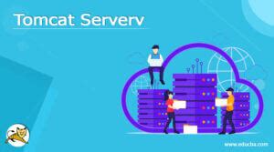 Tomcat Server What Is Tomcat Server How To Using Tomcat Server