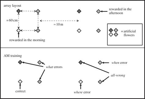 Schematic Showing The Two Arrays Of Experiment 1 And Also The Flower