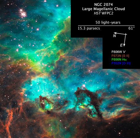 ため息が漏れるほど美しいタランチュラ星雲の写真 ギズモードジャパン