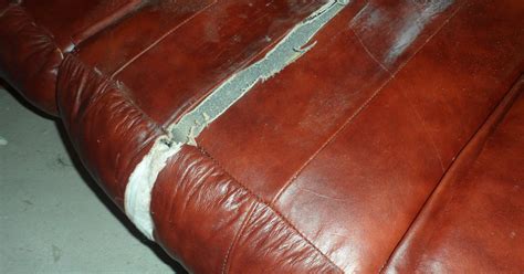 Lord Split Me Open Cameron Patricia Downey Mplsartcom