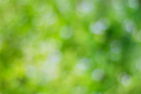 Premium Photo Blur Of Tree Leaves For Nature Background