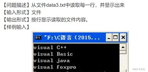 gdpu c语言 天码行空12 指针进阶与文件程序设计 gdpu天码行空 csdn博客