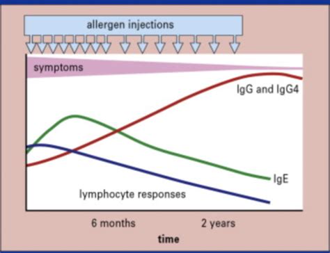 Hypersensitivity Reactions Flashcards Quizlet