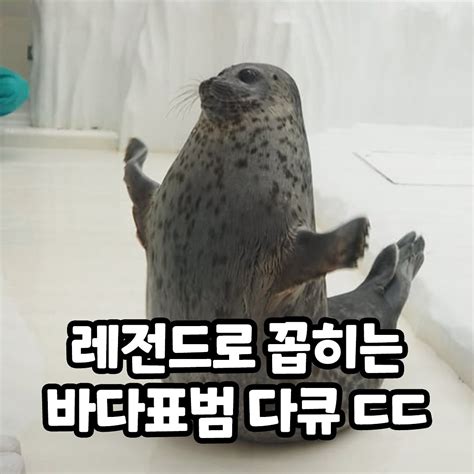 미친유머 빌런들도 개강하겠지 유머짤 짤모음 웃음 웃긴짤 좋아요 웃짤 웃긴모음 유머그램 힐링스타그램 공유 Instagram