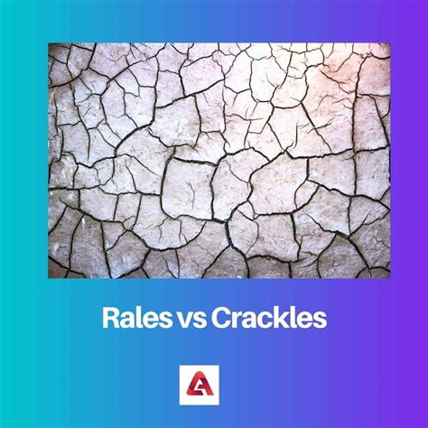 Difference Between Rales And Crackles
