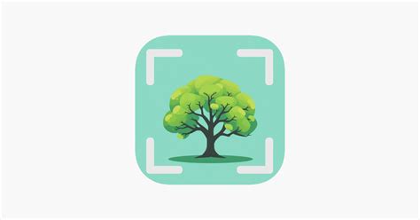 Tree Identifier AI Scanner En App Store