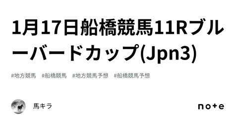 1月17日船橋競馬11rブルーバードカップjpn3｜馬キラ