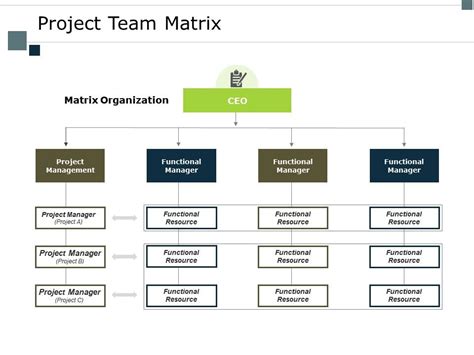 Project Team Matrix Organization Ppt Powerpoint Presentation Inspiration Visual Aids