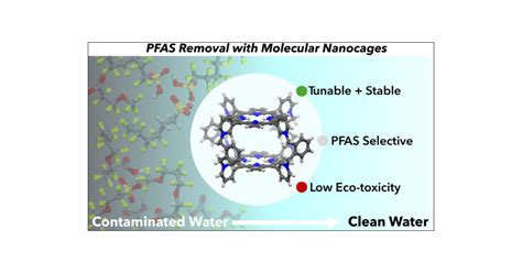 Synthesis And Evaluation Of Cationic Porphyrin Based Organic Nanocages