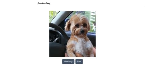 Nextjs Swr Codesandbox