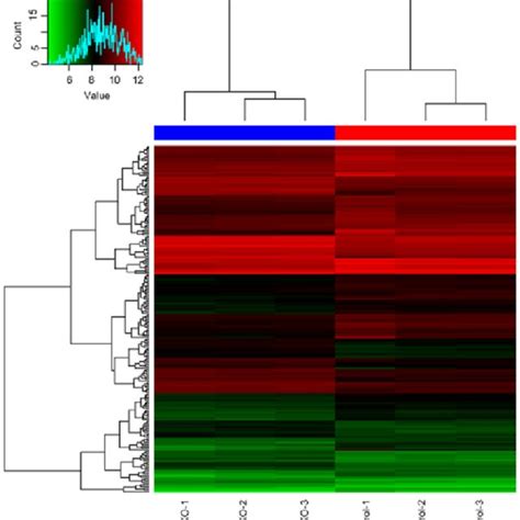 Two Way Supervised Clustering Of Differentially Expressed Genes And Download Scientific Diagram