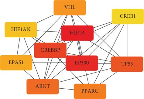 Proteinprotein Interaction Ppi Networks A Ppi Network Analysis Of