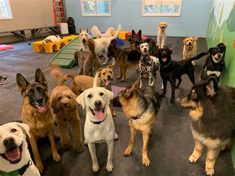 B Group Basic Training Class