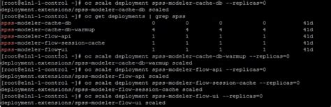 How To Scale Down Spss Service