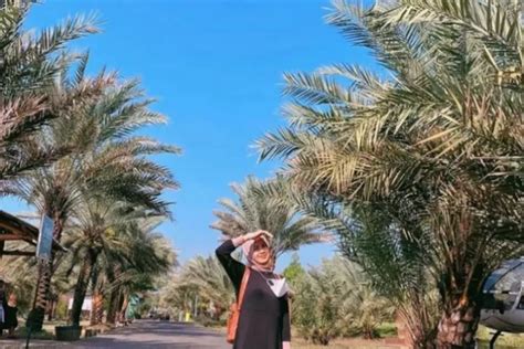 Tempat Wisata Dengan Suasana Timur Tengah Di Wisata Kebun Kurma
