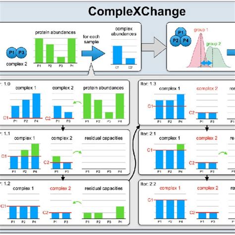 Workflow Example For CompleXChange A Suitable Input Data Can Be Download Scientific Diagram