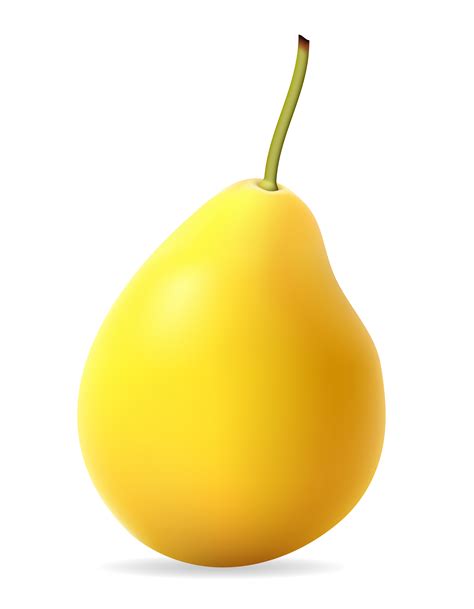 Pear Vector Illustration 510582 Vector Art At Vecteezy