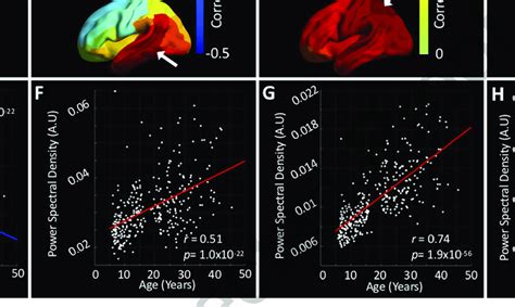 The Relationship Between Age And Power Spectral Density A D Present