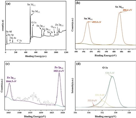 The Xps Characterization Of 4 Wt Zn Doped Sno2 Sample A Survey