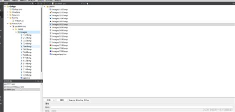 Qrc Codebuug
