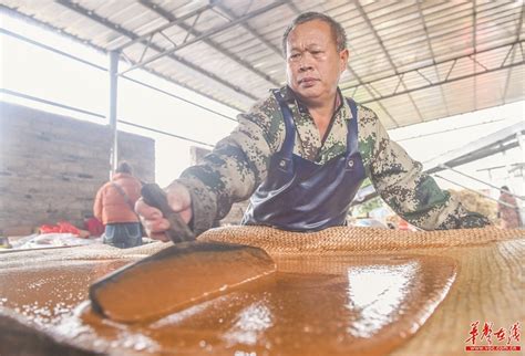 甜蜜产业助增收 焦点图 湖南在线