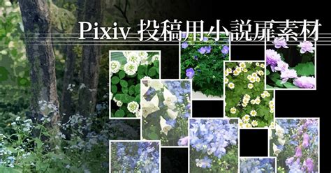 フリー素材 Pixiv投稿用小説扉・野 黒獅のイラスト Pixiv