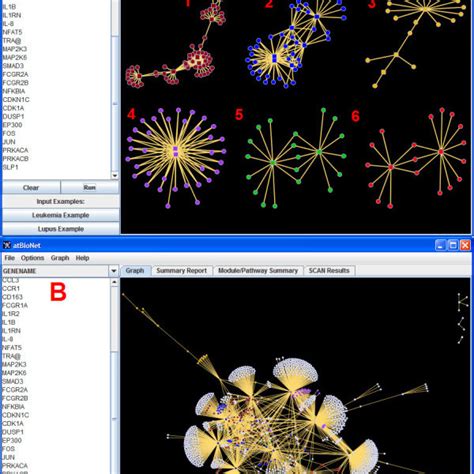 Bionet Interface The Network Visualization For The Systemic Lupus